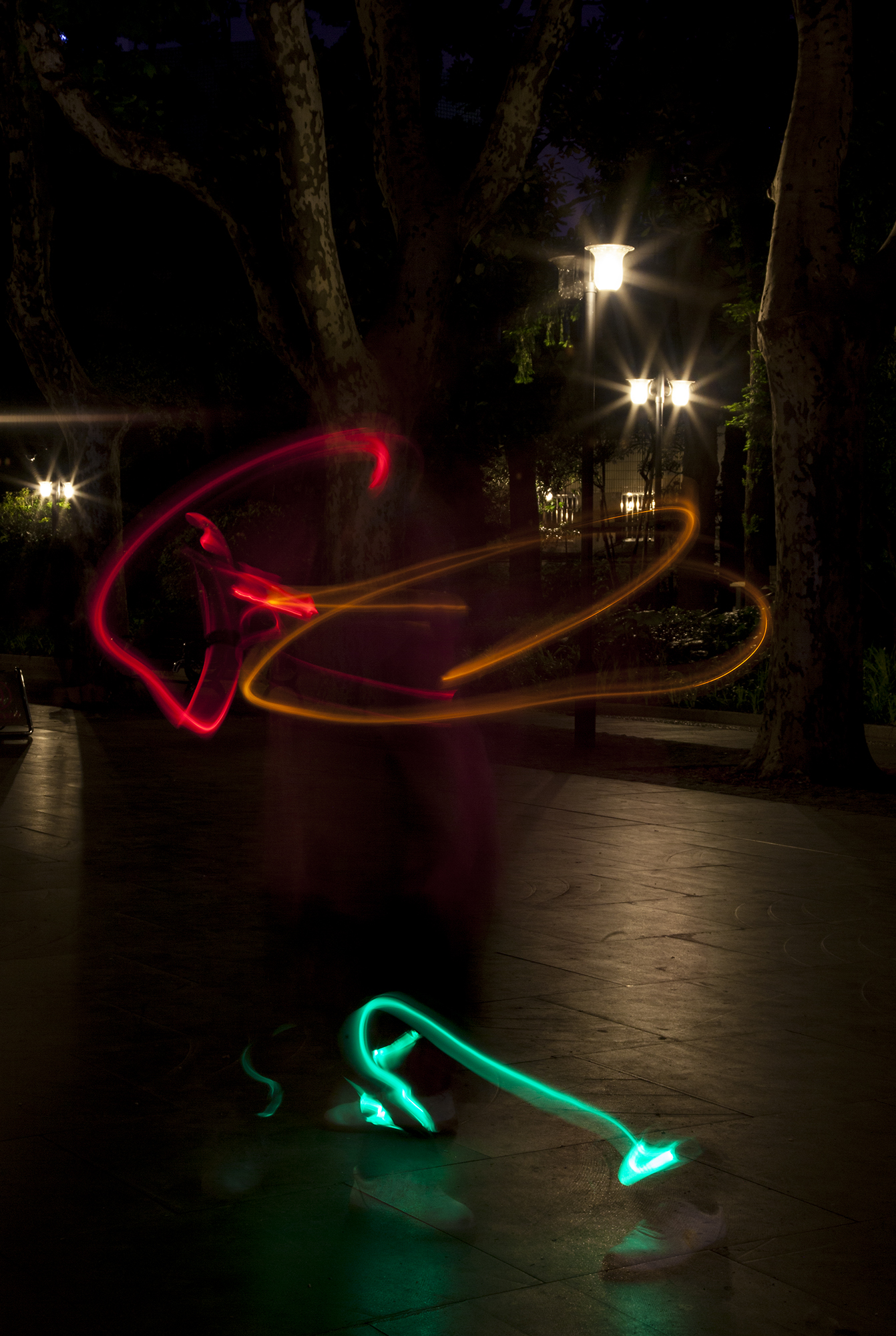 Jessie Yingying Gong — Dance Remains